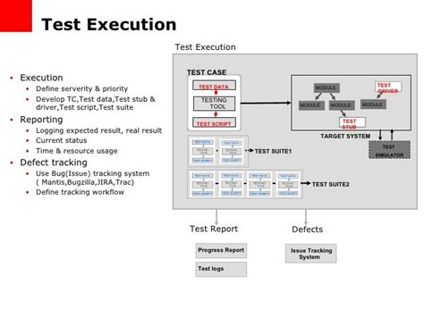 software testing process