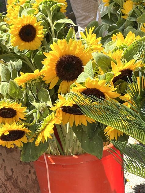 8 Steps To Make Your Life Awesome Rewiring To Turn Potential Into Value