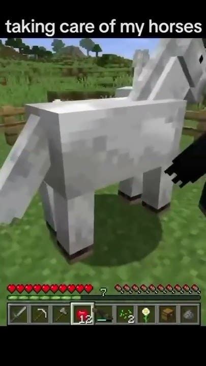 ☠️ Minecraft Minecraftmemes Youtube