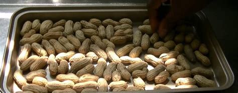 How To Cook Raw Peanuts The Housing Forum