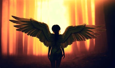 Gut Feelings Are Guardian Angels Signs Your Spirit Guide Is Trying To