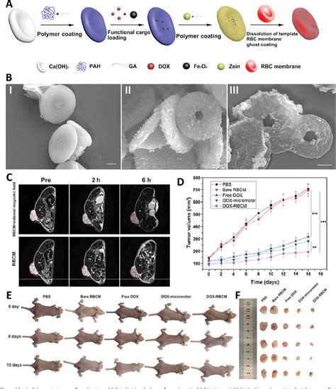 Figure 10 From Biohybrid Micro Nanorobots Pioneering The Next Generation Of Medical Technology