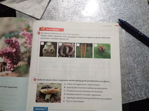 Proszę o rozwiazanie Brainly pl