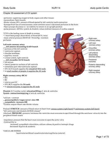Cardiac Lecture Notes Studocu