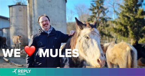 Arlanis Reply Ag On Linkedin Mules Salesforce Mulesoft Composable Enterprise