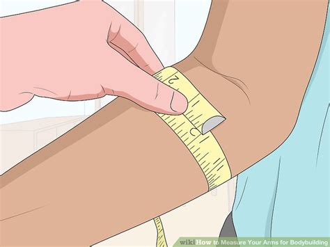 Ways To Measure Your Arms For Bodybuilding WikiHow