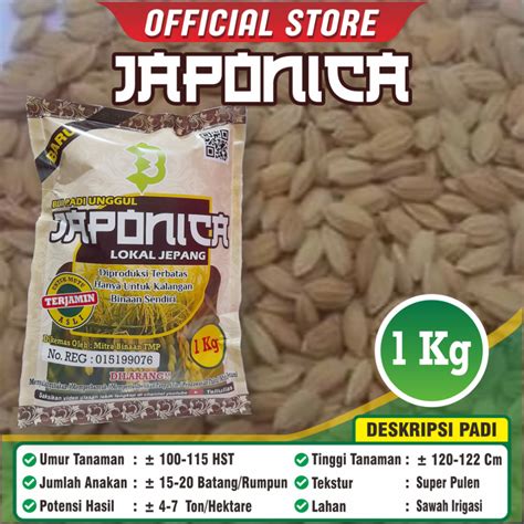 Biji Padi Unggul Japonica Jepang Japan Original Kemasan 1 Kilogram Bibit Padi Japonica