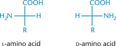 Mcat Biochem Ch 1 Flashcards Quizlet