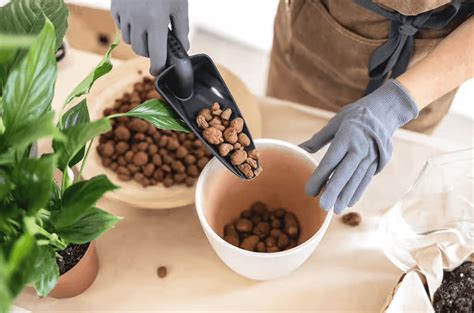 A Story Of Gravel Drainage Layers And Public Safety Laidback Gardener