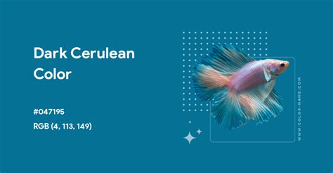 Dark Cerulean Color Hex Code Is 047195