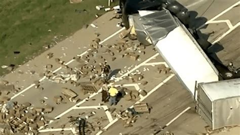Overturned Truck Spills Sex Toys Across Highway More News