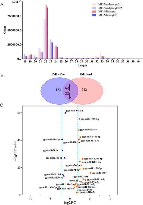 Figure 1 From Gga MiRNA 18b 3p Inhibits Intramuscular Adipocytes