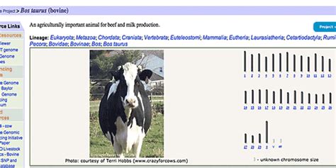 Genetics And Genomics Science Projects Page 3