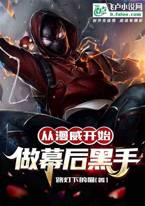 从漫威开始做幕后黑手 路灯下的猫小说 全本小说下载 飞卢小说网