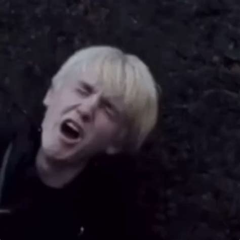Draco Malfoy Aesthetic Tom Felton Draco Malfoy Videos Funny Harry