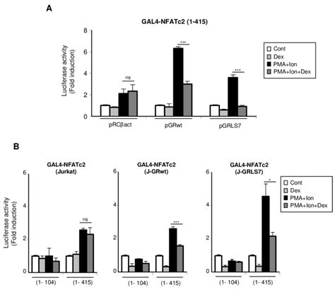Dex Interferes With The Transactivating Activity Mediated By The