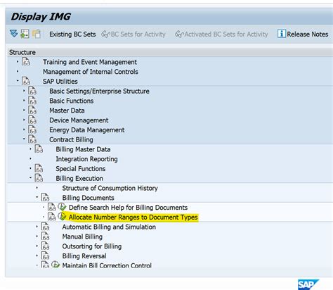 Billing Configuration And My First Billing Document Sap Isu