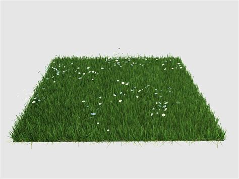 Maya Realistic Grass 인스 턴싱 3d 모델 9 Unknown Ma Free3d