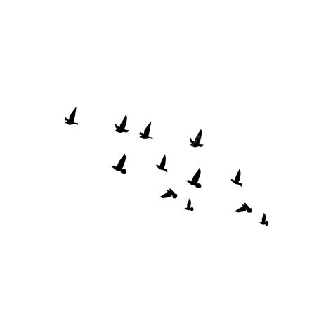 Aves Volando Silueta Png Photoshop Aves Volando Png Images