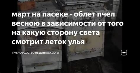 март на пасеке облет пчел весною в зависимости от того на какую