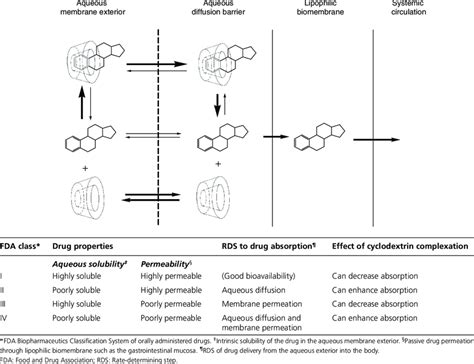 The Effect Of Cyclodextrin Complexation On Drug Bioavailability After Download Table