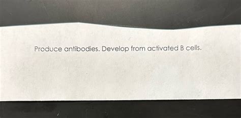 White Blood Cells Flashcards Quizlet