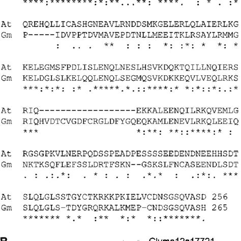 Isolation Of A Putative Ortholog Of Arabidopsis Agl18 From Soybean A Download Scientific