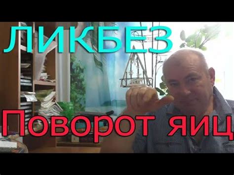 Поворот яиц в инкубаторе | Как хранить яйца для инкубатора? - YouTube
