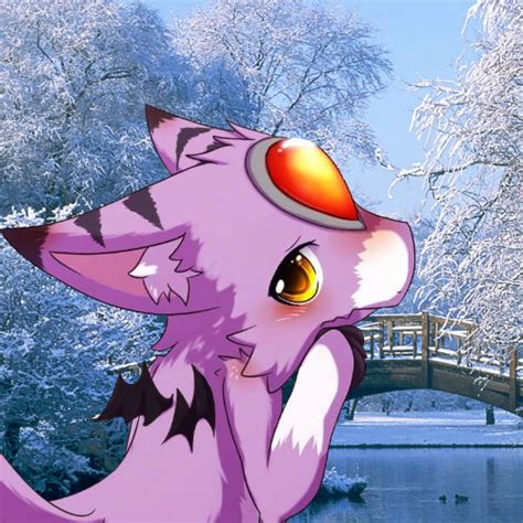 Dorumon View 14331246 Facebook