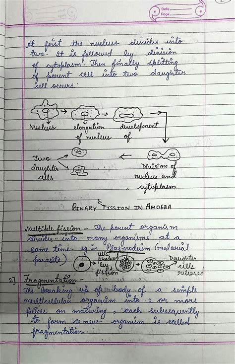 Solution How Do Organisms Reproduce Cbse Class 10 Biology With