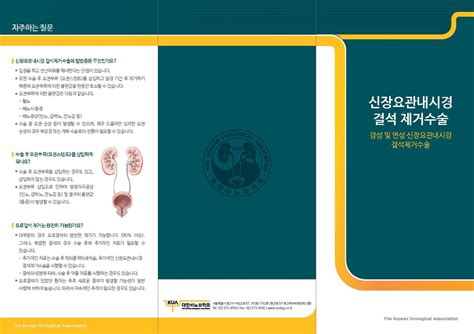 파일신장 요관 내시경 결석제거수술pdf Urowki