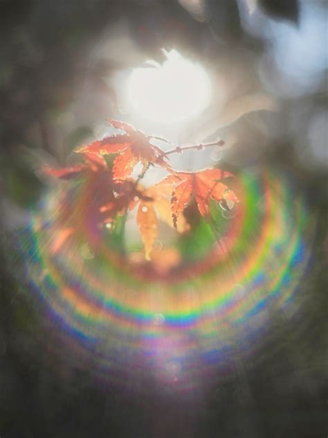 虹に包まれて By アツ （id：11531548） 写真共有サイトphotohito