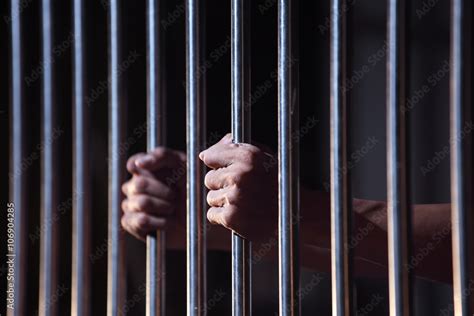 Resta In Carcere Mauro Pedrotti Confermata La Custodia Cautelare Per L