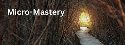 Agile Mastery Institute On Linkedin Micro Mastery