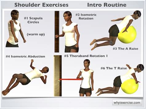 Scapular Muscles Exercises