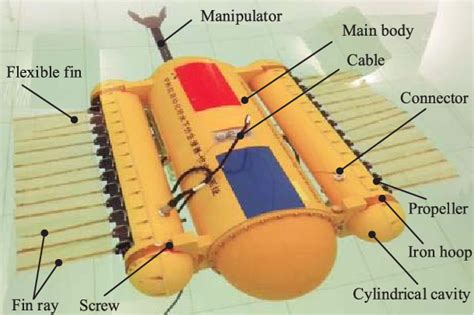 Figure 1 From A Paradigm For Path Following Control Of A Ribbon Fin Propelled Biomimetic