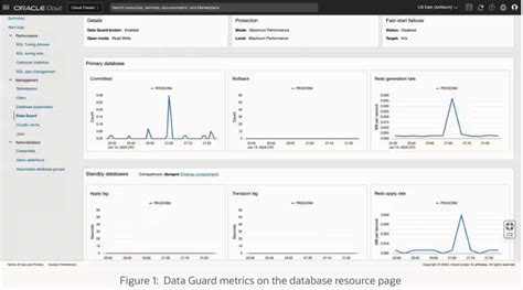 Data Guard Monitoring And Metric Extensions New Oci Database