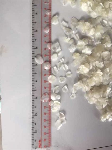 Wholesale Dried Fish Scale For Collagen Production From Vietnam