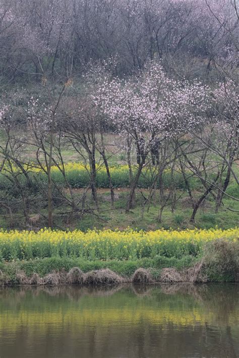 秘境黄龙岘 I 徒步茶村千年古官道 黄龙岘景区
