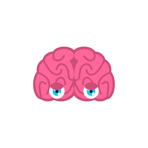 Amygdala Illustrations Royalty Free Vector Graphics And Clip Art Istock