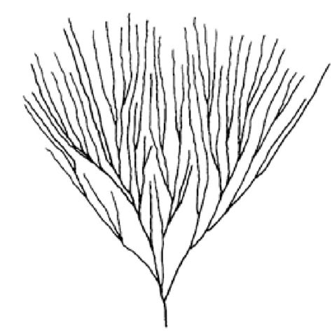 Derivative Of Heaviside Like Function At T 0 And T −1 By Following