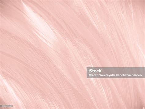 흰색 배경에 아름다운 추상흰색과 분홍색 깃털 핑크 무늬와 핑크 배경 깃털 배경 핑크 배너에 부드러운 흰색 깃털 질감 0명에 대한 스톡 사진 및 기타 이미지 Istock