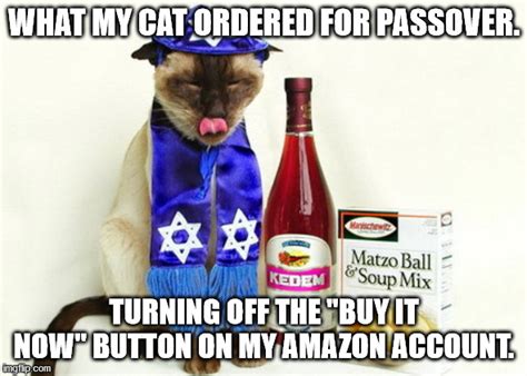 Passover Cat Memes Imgflip