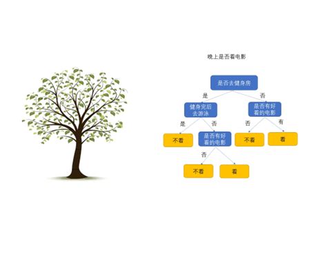 【决策树】一文看懂图解决策树原理：信息熵、条件熵与信息增益 阿里云开发者社区