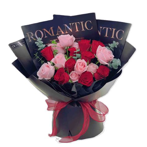 Claire Bb104 Beebee Sdn Bhd