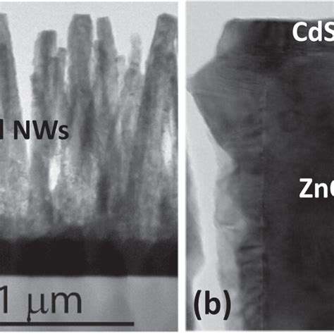 Raman Scattering Spectra Of Znocdse Coreshell Nw Arrays With The A