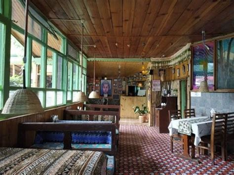 Cafe Evergreen Kasol What To Expect Timings Tips Trip Ideas