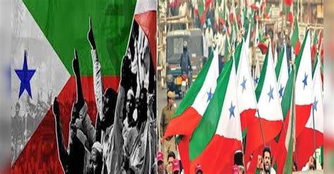 After All Why Is The Discussion About Banning Pfi Gaining Momentum