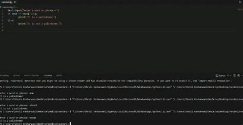 Python Codingpractice Palindrome Programming Bscit Bkbirlacollege
