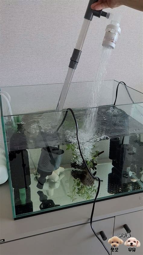 어항 사이펀 물생활 필수템 전동 사이펀 사용법 후기